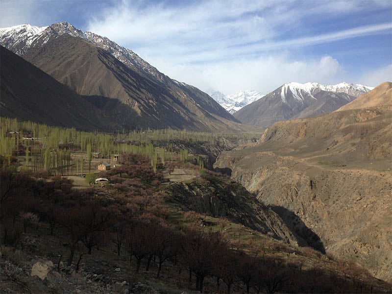 D and K - Reach Beyond